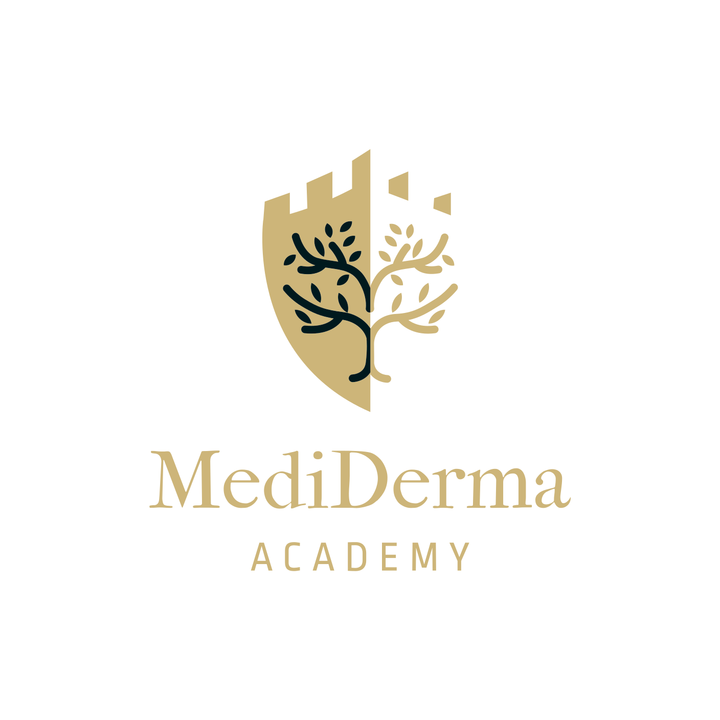 Mediderma Academy – Mediderma Academy: Botox & Dermal Fillers Training ...